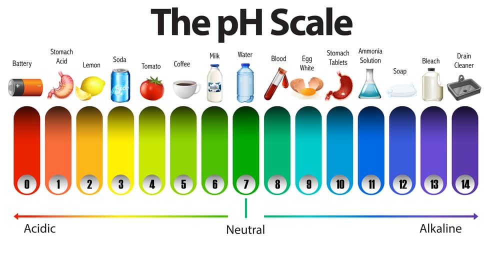 The Science of Compost: Unearth the Chemistry of Composting - My ...